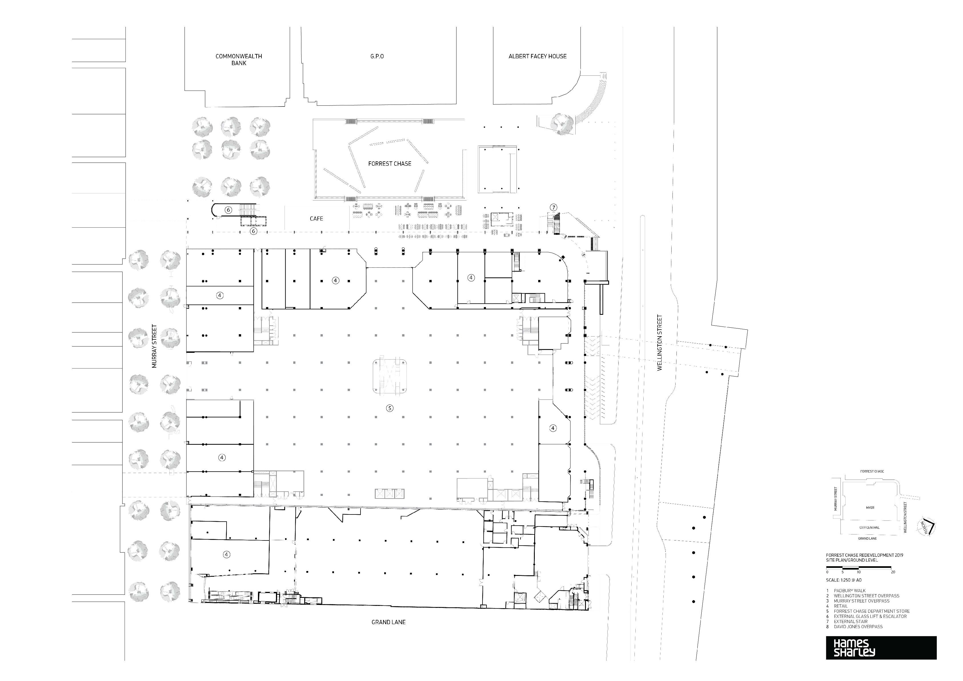 Forrest Chase | BowerBird