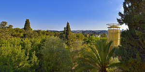 Ester Tower | BowerBird