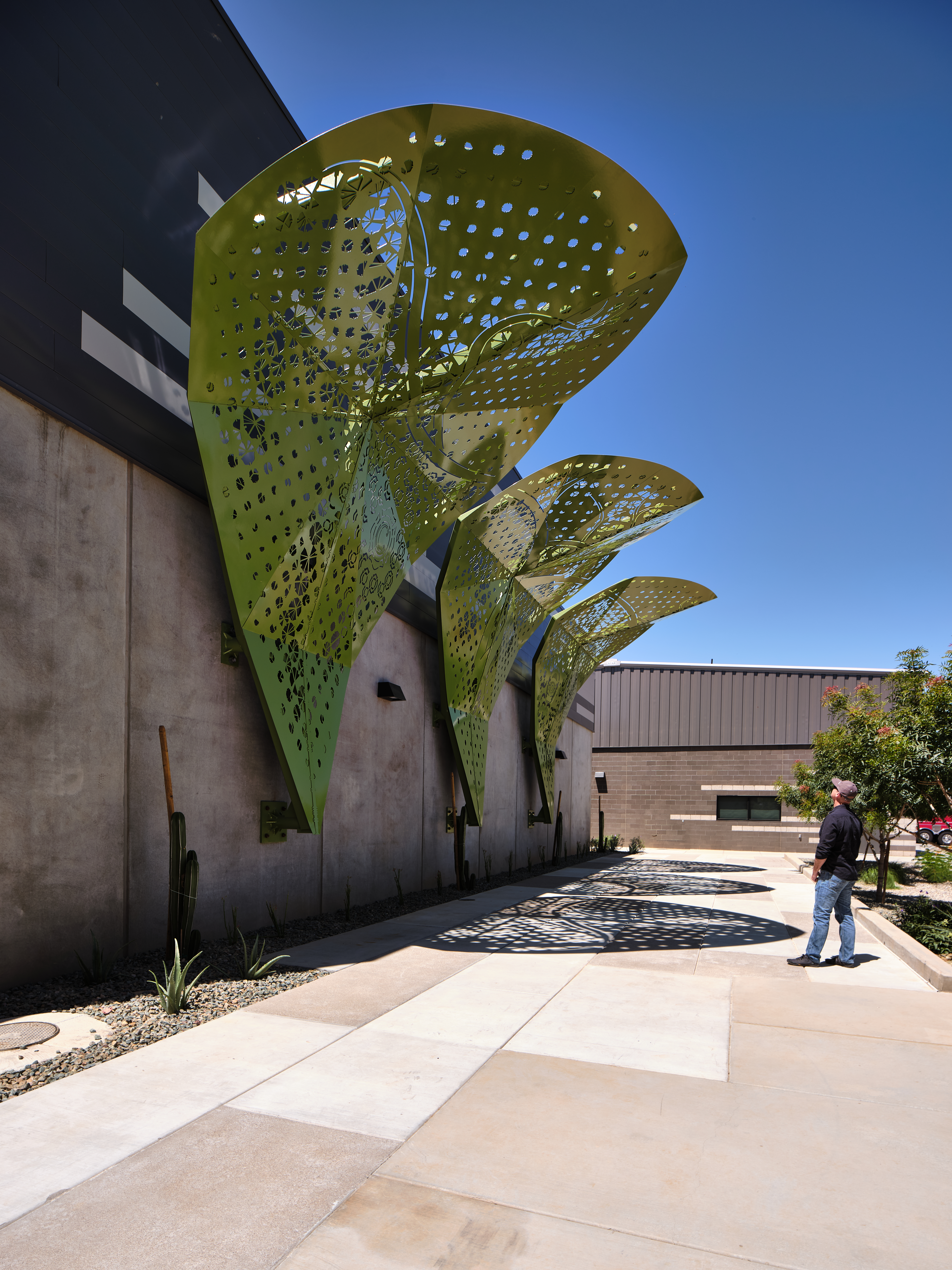 Our Nature Public Art Installation | BowerBird
