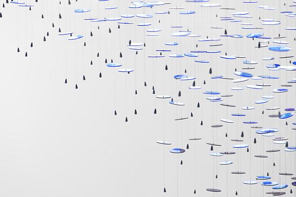 Binary Spectrum | BowerBird