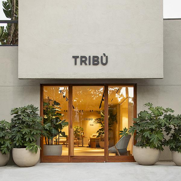 Tribù Flagship Showroom | BowerBird